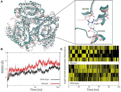 The P S181f Missense Variant Detected That The Loss Of Function Effect