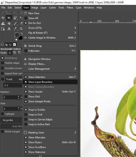 How To Deselect Remove Selection In GIMP Quick Shortcuts