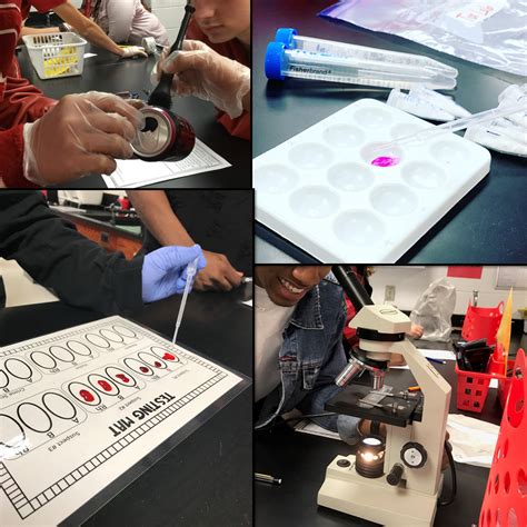 Forensics Curriculum Entire Year Course Bundle Forensic Science ⋆