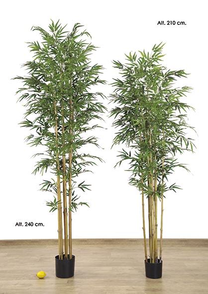 Bamboo X 1600 H 210 Cm Verde Bossvi