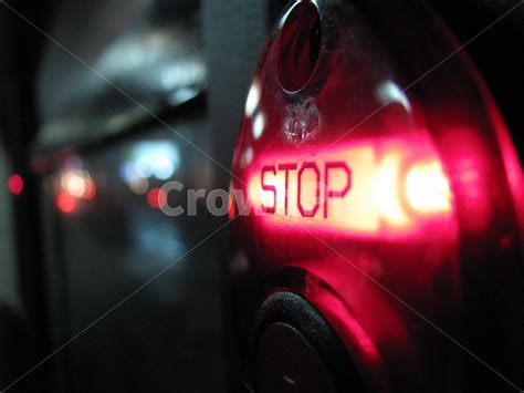 Stop Bus 버스 스톱 정지 사진 이미지 일러스트 캘리그라피 Goodtrees작가