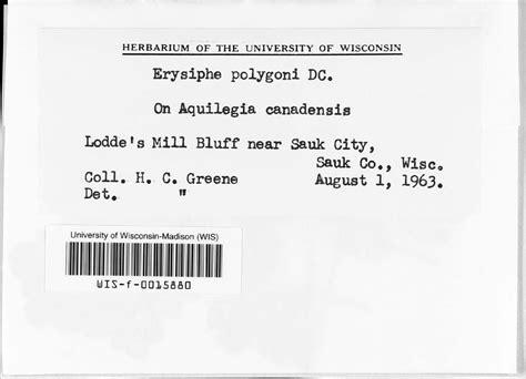 Mycoportal Image Details 878605