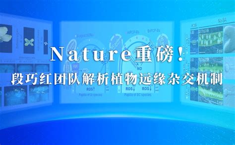 山东农业大学 新闻网