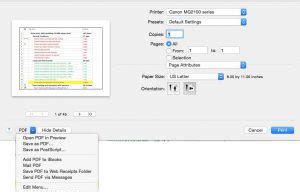 Print Preview Project Plan