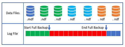 تهیه Backup در Sql Server نیک آموز
