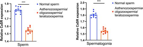 Comparative Analysis Of Calcium Sensing Receptor Casr Expression And