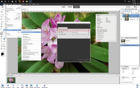 Solved No Nik Drop Down Menu Adobe Community 14411595