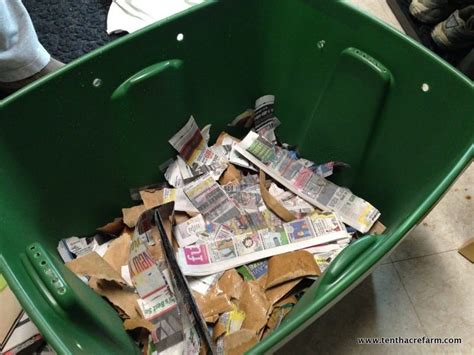 Worm Bin Problems For Beginners Tenth Acre Farm