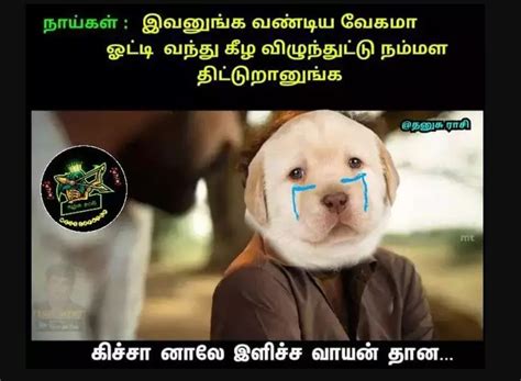 கிச்சா னாலே இளிச்ச வாயன் தானே வைரலாகும் கிச்சா மீம்ஸ் விடுப்பு கொம்