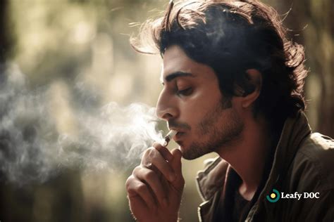 Unlocking Cannabis Consumption Patterns Trends And Insights Revealed