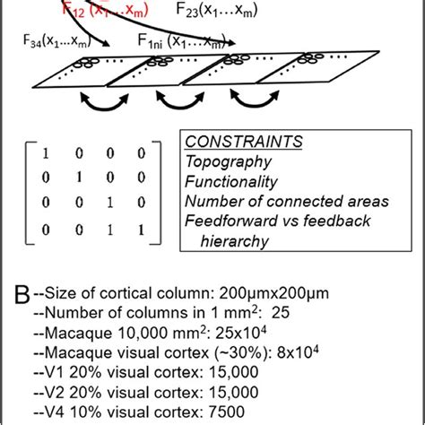2d To 2d Matrix Representation Of Cortico Cortical Mapping A Each Download Scientific