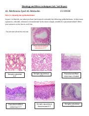 Identifying Epithelial Tissues In Histology Lab Report Study