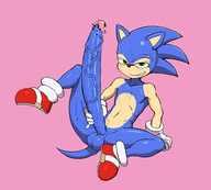 Post Sonic The Hedgehog Sonic The Hedgehog Series Wrong