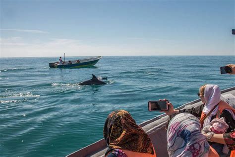 آب و هوای قشم چگونه است؟ چه زمانی سفر کنیم ؟ مجله گردشگری سه کلیک