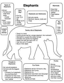 Elephant Information Fact Sheet By Berish Academy TPT