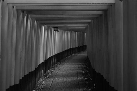 건조한 건축 겨울 경치 경치가 좋은 고요한 나무 다채로운 대조 랜드마크 맑은 하늘 명상적인 몽고 어 몽골리아 문화 유산 문화적 불교의 붉은