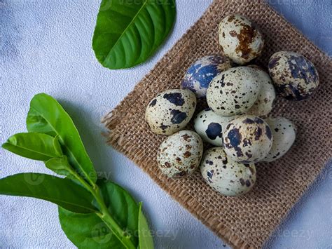 Ovos De Codorna De Codorna Uma Coleção De Ovos De Codorna Em Uma Placa