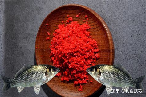 钓鲫鱼窝料的种类以及正确用法，钓鲫鱼常识 知乎