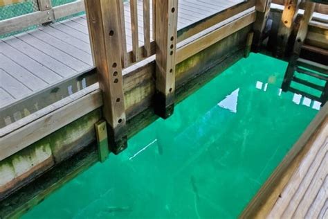 Kitch Iti Kipi Is The Bubbling Big Spring To See In Michigan Diy Glass