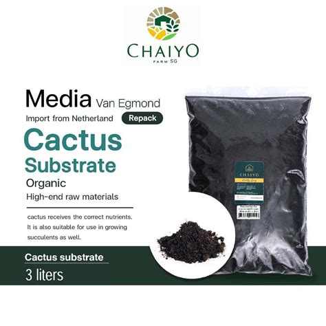 Cactus Substrate 3l Repack Van Egmond Peat Moss Shopee Singapore
