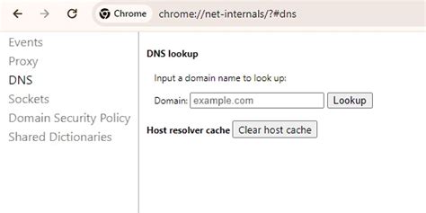Chrome Net Internals Dns Clear Dns Cache On Chrome A