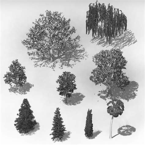 Arquitreepack01 9 Tree Families For Revit Detailed And Scalable