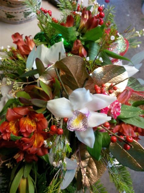 Orchid Christmas The Floral Revelry
