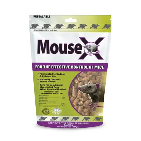 The Most Effective Mouse Repellents That Will Get Rid Of Rodents For Good