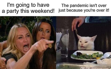 City Cat Meme Nirenberg Psa Urge Residents To Keep Their Guard Up