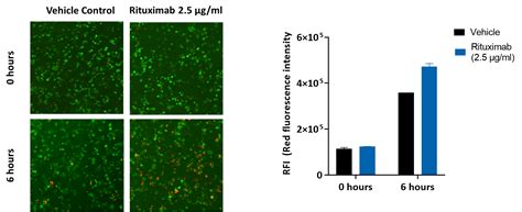 Adcp Antibody Dependent Cellular Phagocytosis Cellomatics Biosciences