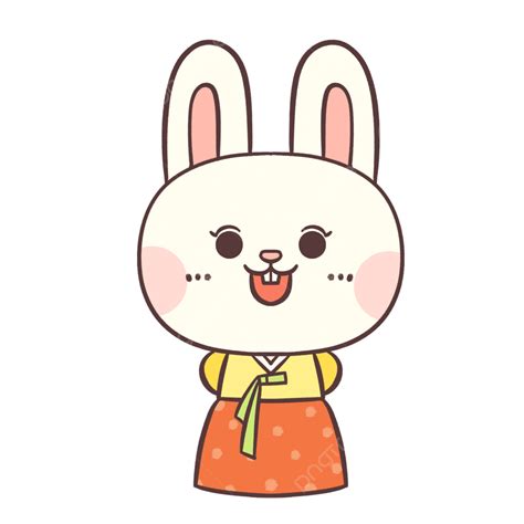 Korean New Year Rabbit Hanbok Korean Clothes Rabbit Hanbok