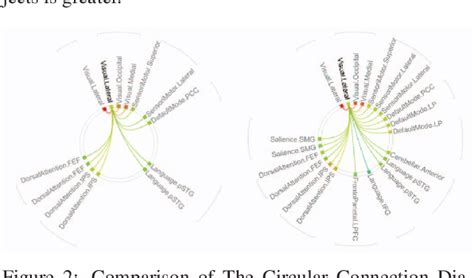 Figure 2 From Brain Network Analysis Of Paranoid Schizophrenia Based On Graph Measurements