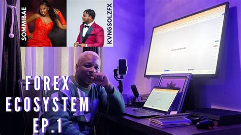 FOREX ECOSYSYEM EPISODE 1 YouTube
