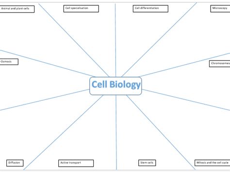 Aqa Combined Science B1 Revision Clocks Teaching Resources