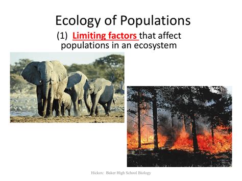 Limiting Factors In An Ecosystem