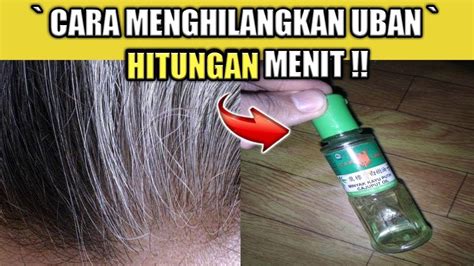 Hasilnya Bikin Uban Kabur Ini Manfaat Minyak Kayu Putih Untuk Rambut