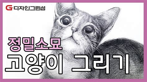 코로나때문에 새로운 취미를 창조했습니다 고양이 정밀소묘 연필 스피드드로잉 취미강좌 네이버 Tv
