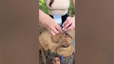 Bushcraft Diy Satisfying Bushcamp Survival Bushwoman Bushcrafter