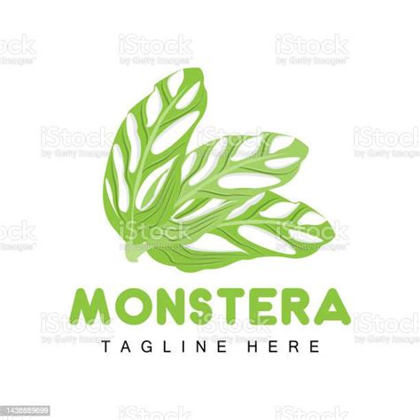 몬스 테라 Adansonii 잎 로고 녹색 식물 벡터 나무 벡터 희귀 한 잎 그림 0명에 대한 스톡 벡터 아트 및 기타 이미지 0명 관목 구멍 Istock