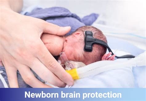 Oxyprem Ag Alexander Nitsch