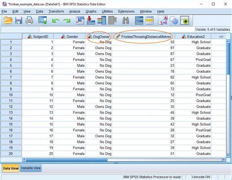 Independent T Test In Spss 16 Oplasia