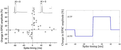 3 Spike Timing Dependent Plasticity Left Panel Canonical Stdp Taken