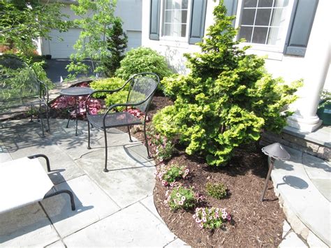 Dwarf Purple Trees For Arizona Landscaping — Randolph Indoor And