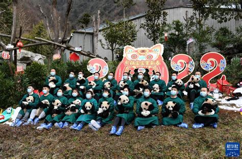 新华全媒丨超萌“滚滚”拜年啦！中国发展门户网－国家发展门户
