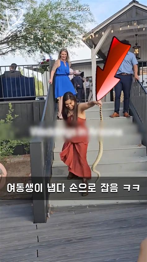 동생이 쓸모 있을 때 ㅋㅋ 유머 틱톡 미국 결혼 다음 루프