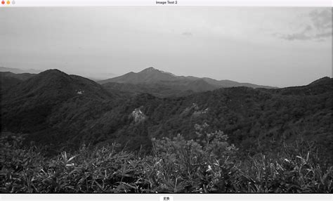Pythonで画像処理2白黒画像に変換する Truewalk