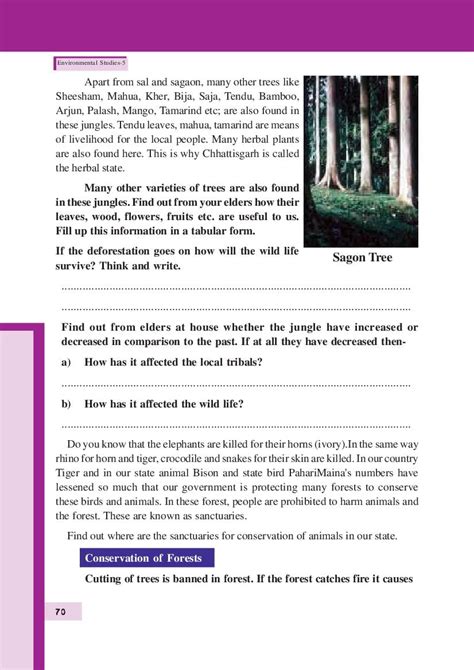 Cg Board Class 5 Evs Book Pdf Download Chhattisgarh Board Textbook