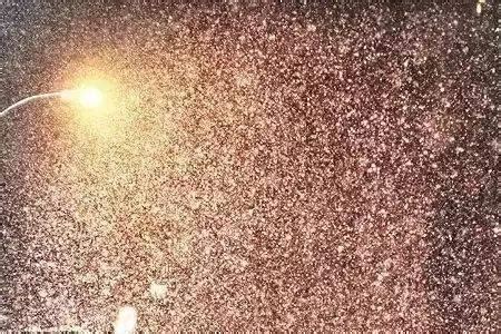 下雨过后车辆需要开动一下吗