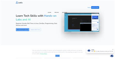 Labex Ai Tool For Coding Mentorship