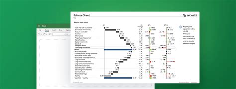 Balance Sheet In Excel Zebra BI